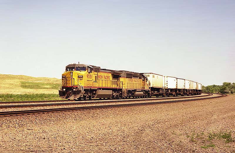 UP'S Buttermilk Curve